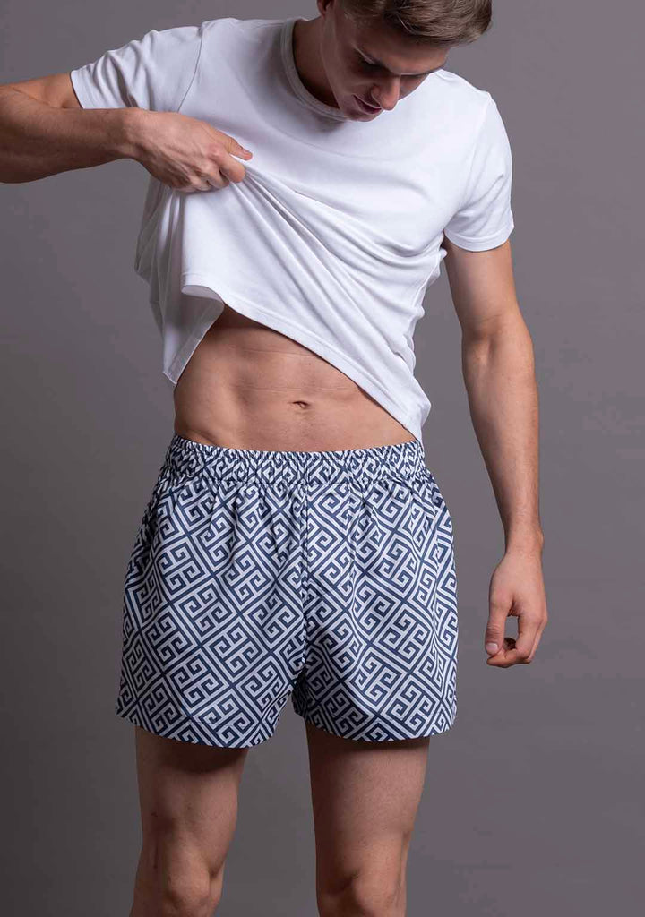 Art Boxers by Aristobrat